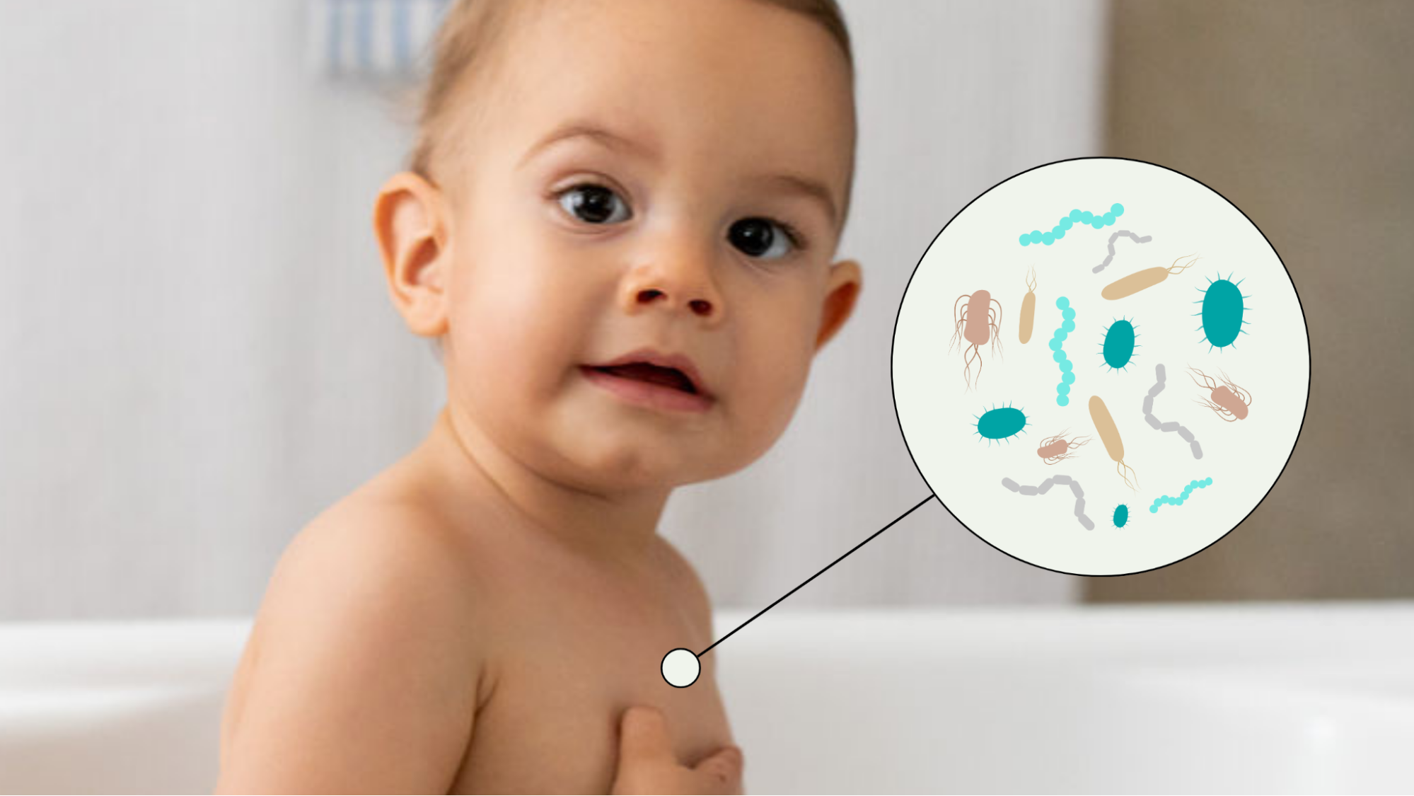 How the Baby Skin Microbiome Shapes Lifelong Health – NOLEO